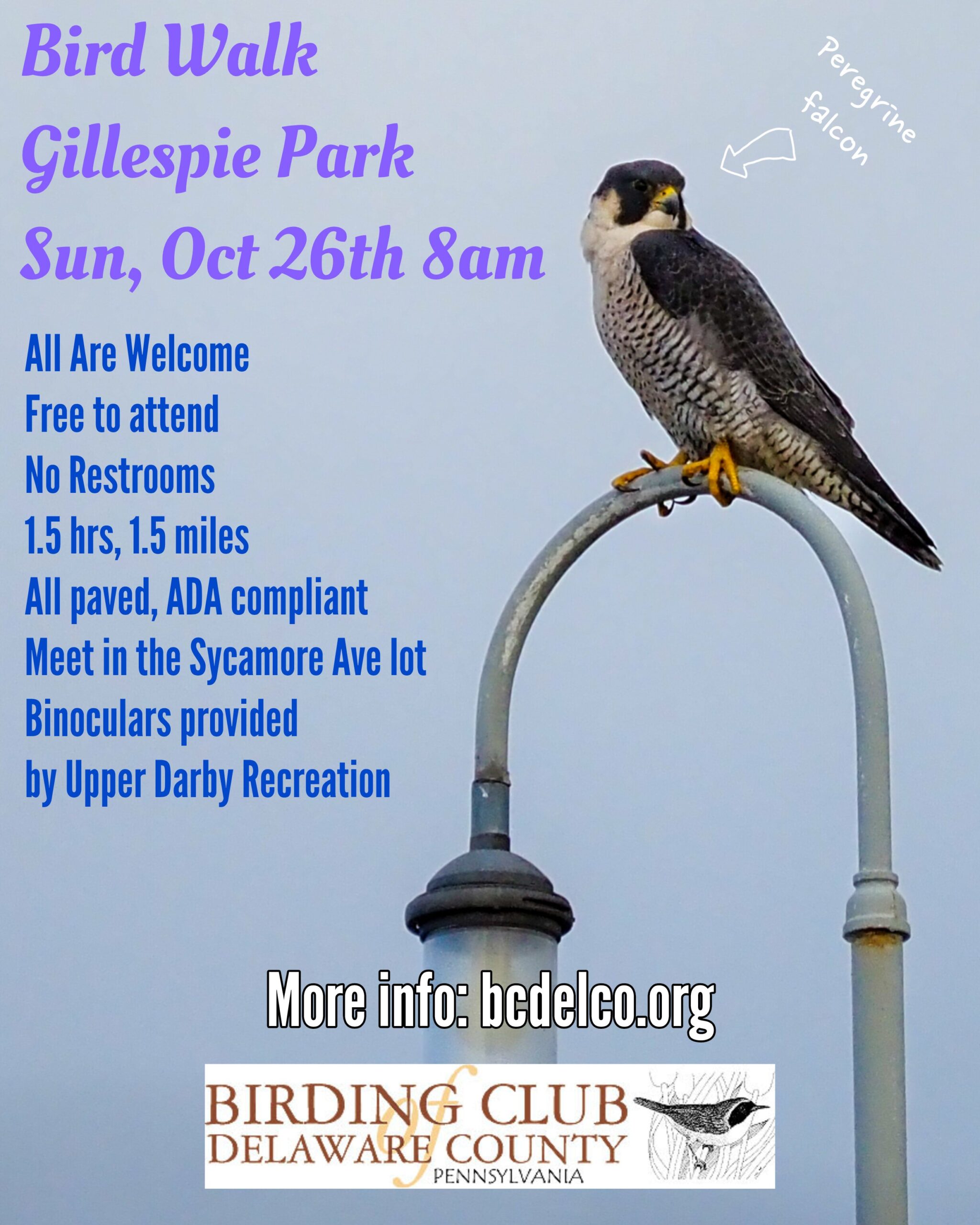 Bird Walk at Gillespie Park in Drexel Hill – Birding Club of Delaware ...